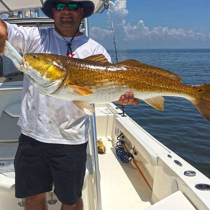 Best Months to Catch Redfish in Louisiana & Mississippi