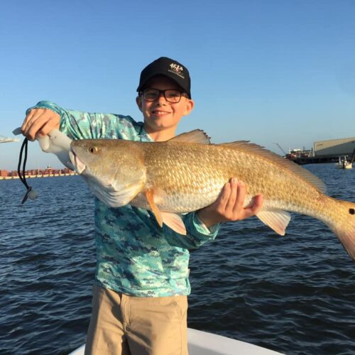 Louisiana Marsh Redfish: A Comprehensive Guide