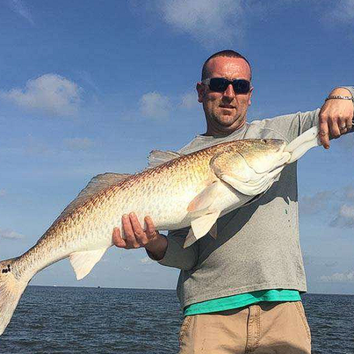 Best Months to Catch Redfish in Louisiana & Mississippi