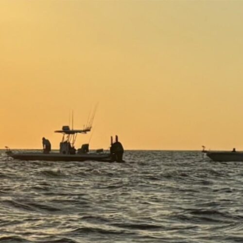 Best Months to Catch Redfish in Louisiana & Mississippi